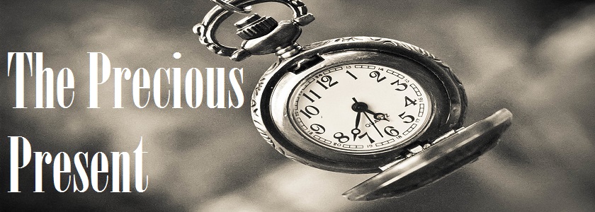 Book Review: The Precious Present By Spencer Johnson | Lead2Goals